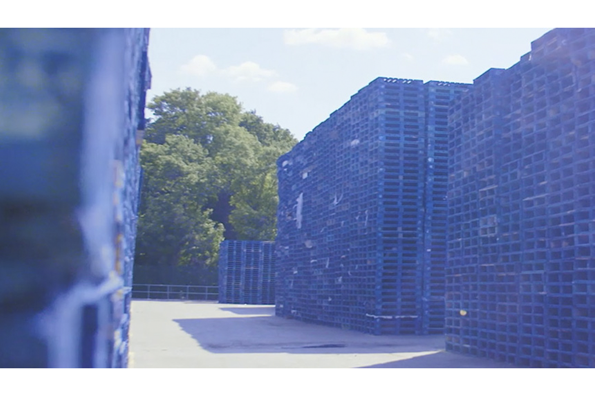 Alerta Emprego | Brambles