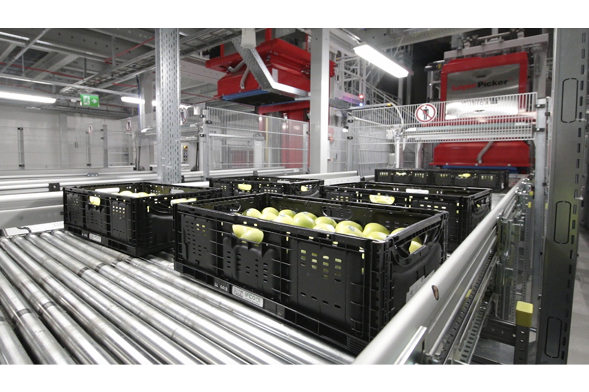 Alerta Emprego | Brambles